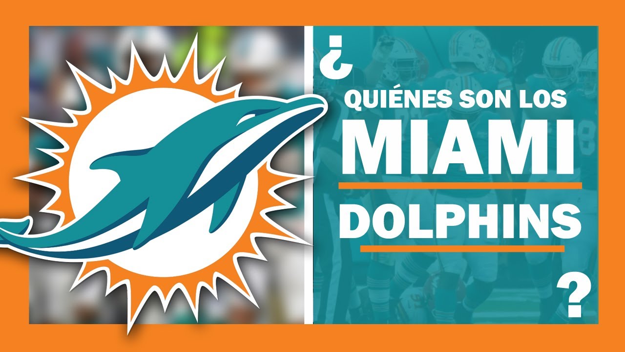 🔴NFL EQUIPOS: TODO lo que tienes que SABER sobre: LOS MIAMI DOLPHINS ...
