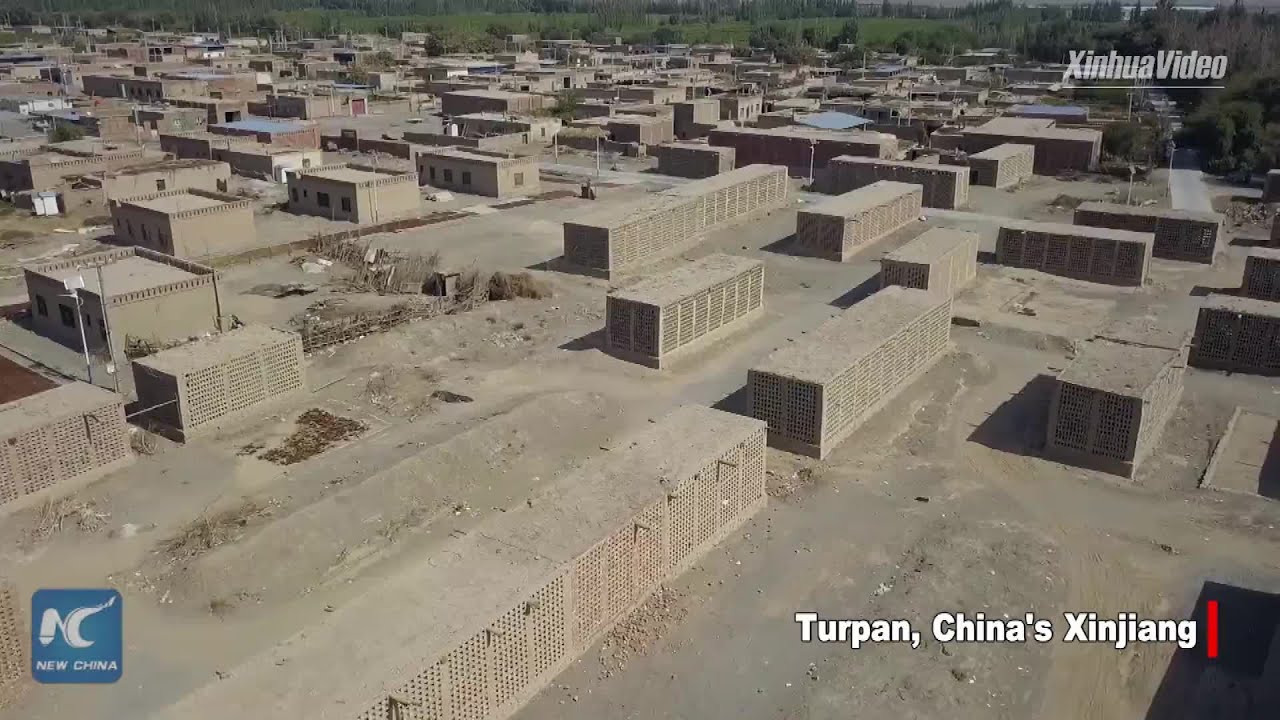 How raisins are made in Turpan, China - YouTube