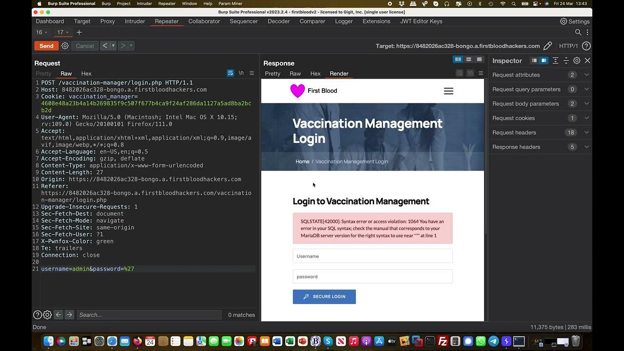 SQL Injection Vulnerability | FirstBlood v2 | Bug Bounty Service - YouTube