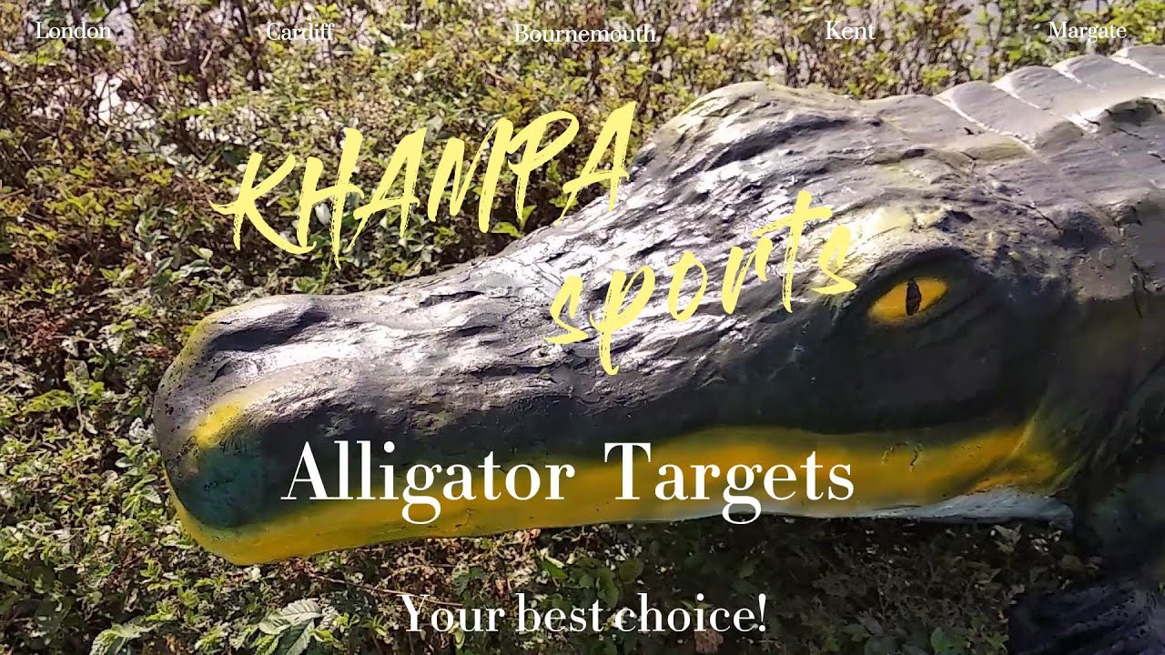 Alligator Target - YouTube