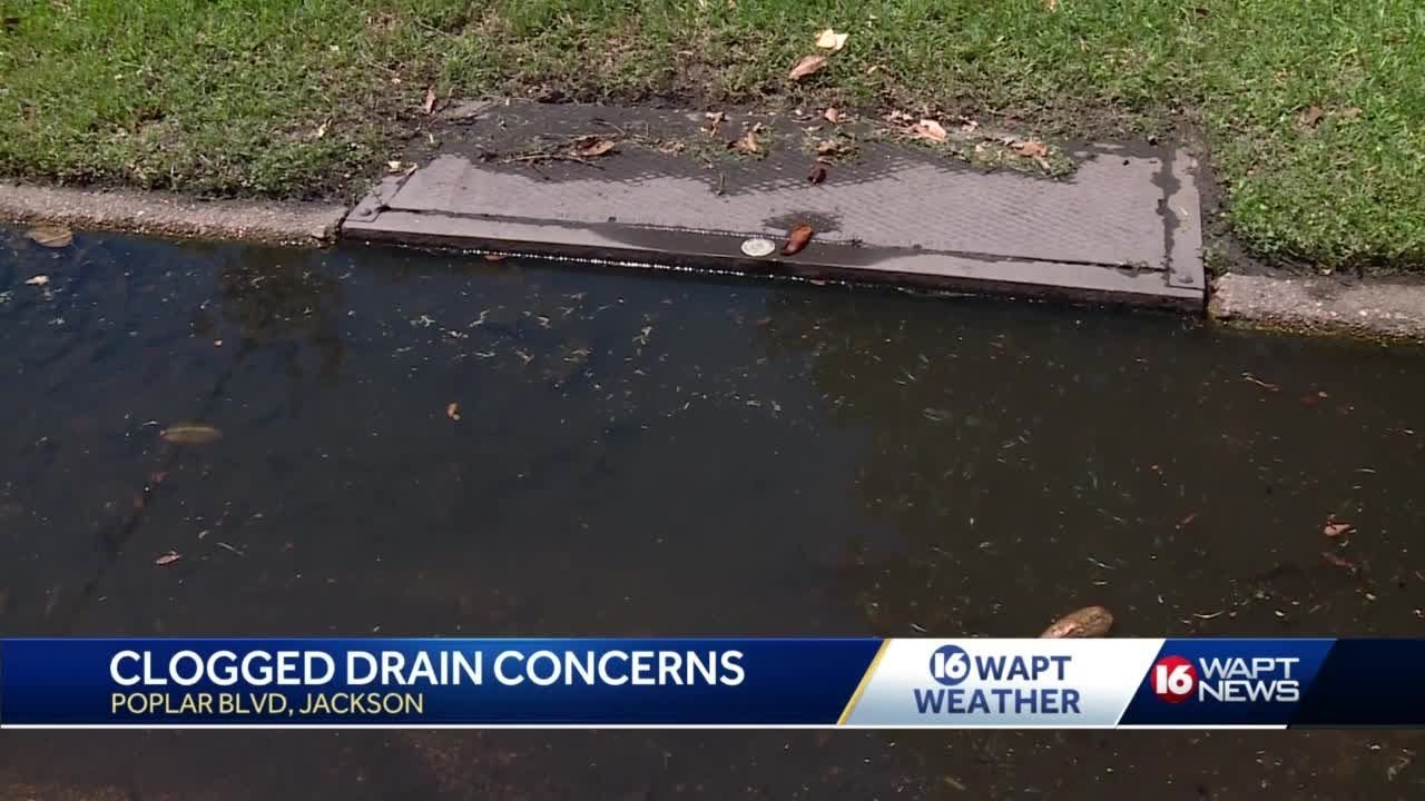 Jackson woman concerned about clogged storm drain ahead of weekend ...