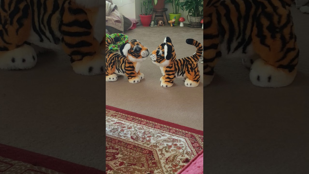 fur real roaring tiger playful toy - YouTube