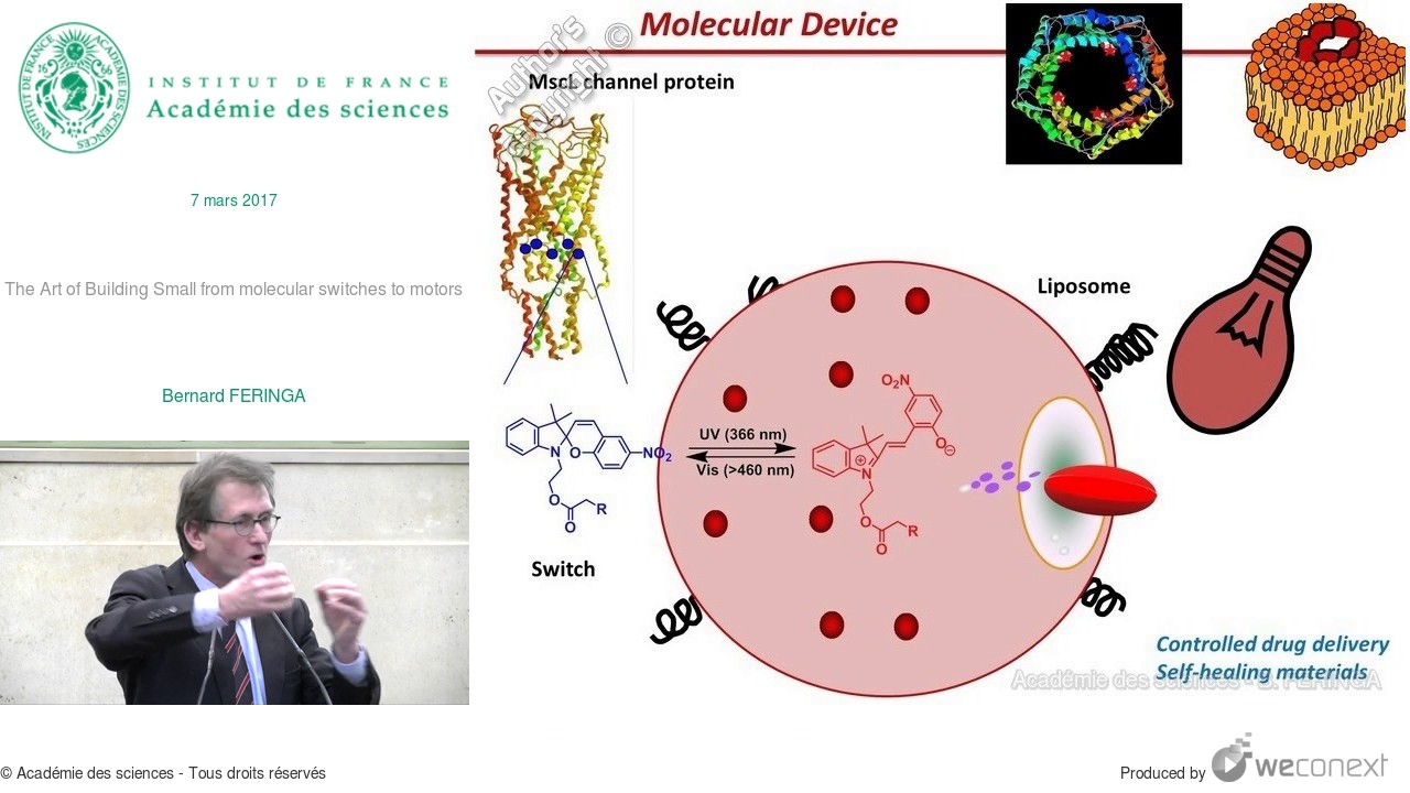 [Conférence] B. FERINGA - The Art of Building Small from molecular ...