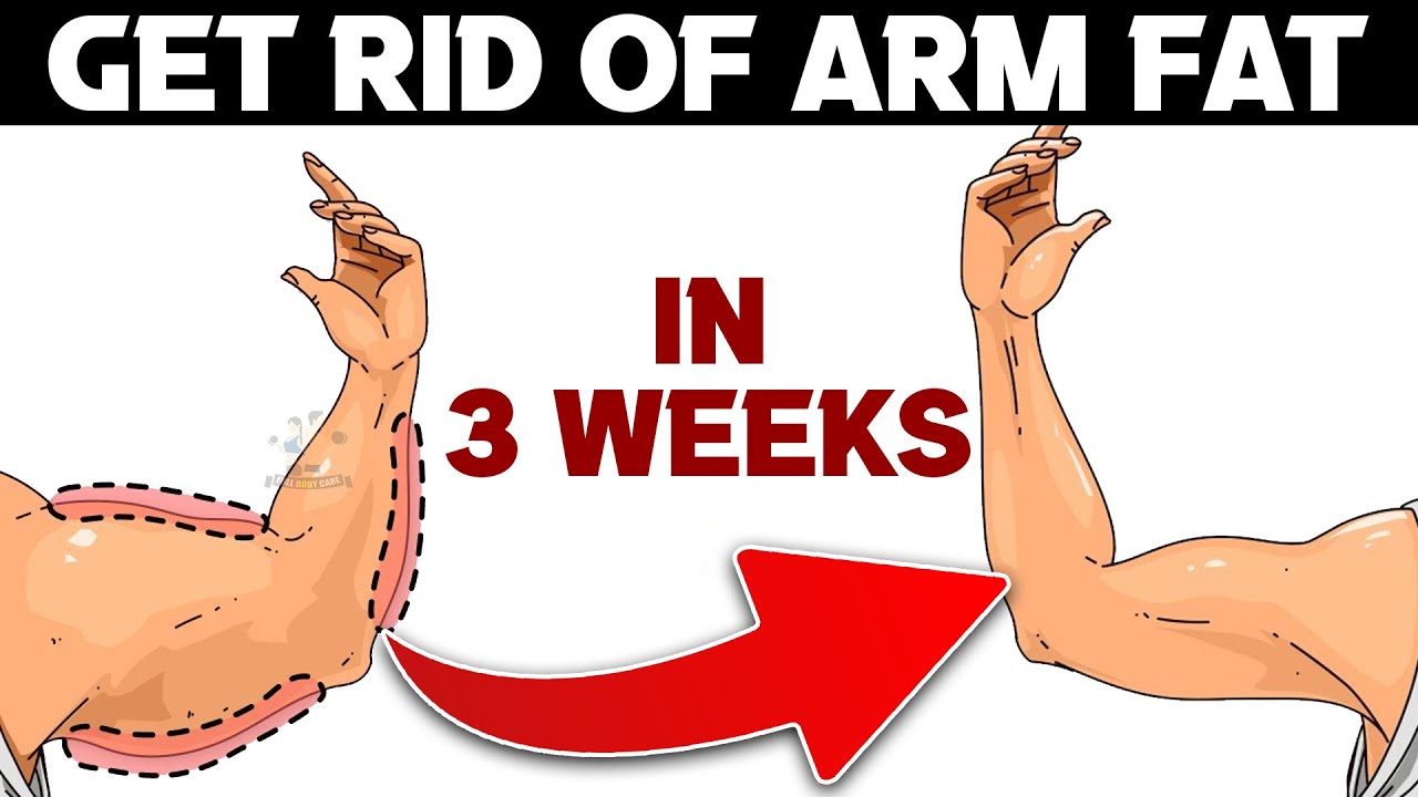 GET RID OF ARM FAT IN 3 WEEKS ! 🐱‍🏍 - YouTube