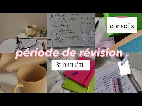 BAC: période de révision | conseils - YouTube