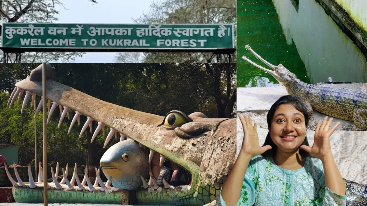 Kukrail forest Lucknow|Gharial breeding centre|Best place n lko fr ...