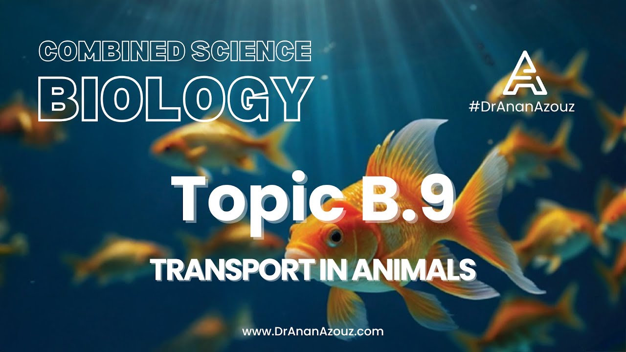 B9 Transport In Animals IGCSE Combined Science Biology Made Easy - YouTube