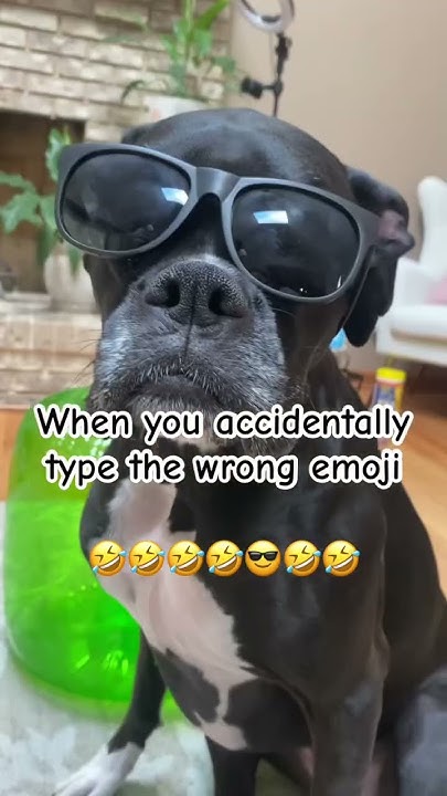 🤣😎 When you accidentally type the wrong emoji, again! #jojotheboxer - YouTube