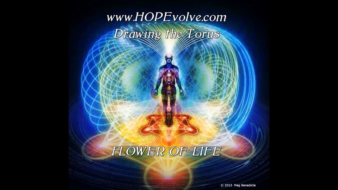 HOPEvolve - Drawing a Torus Field with 9 Seeds of Life - YouTube