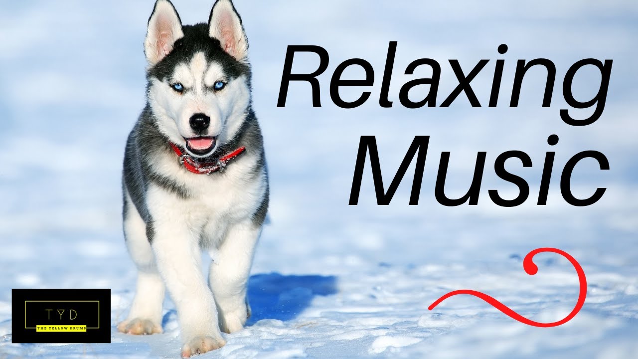 1 HOUR | Winters day relaxing piano music - SKIING IN FRESH SNOW ...