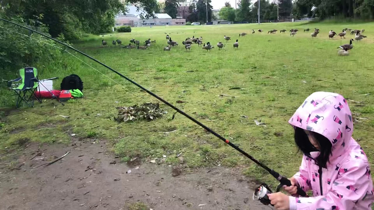 Bitter lake Seattle Washington - YouTube