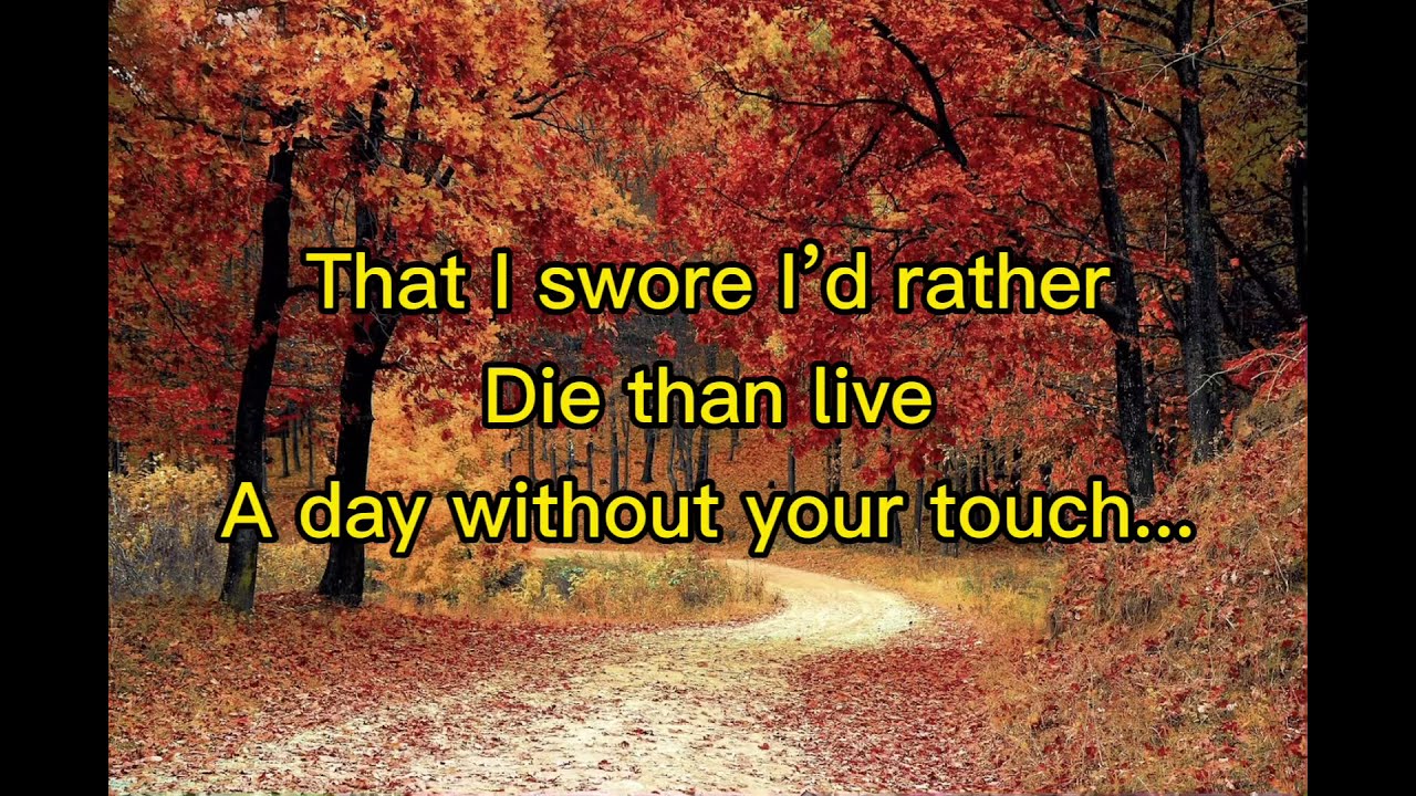 Dan Hill I Fall All Over Again Lyrics YouTube dan-hill-i-fall-all-over-again-lyrics-youtube