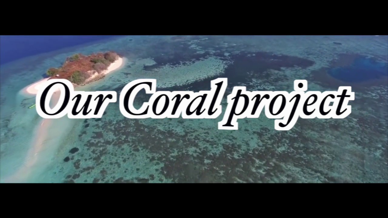 Help us save the corals ! Aidez-nous à sauver les coraux ! - YouTube