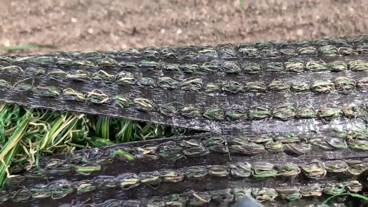 Perfect Artificial Turf Seams --- Making a Perfect Turf Seam - YouTube