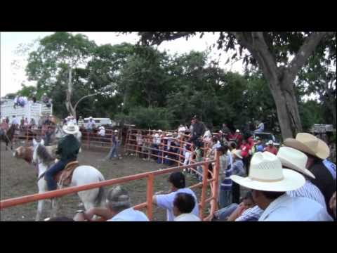 TINAJAS COLIMA 2011 (Los Toros) - YouTube