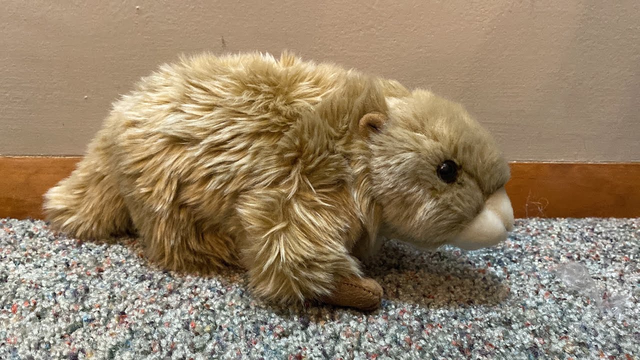 SOS Marmot Plush Unboxing & Review - YouTube