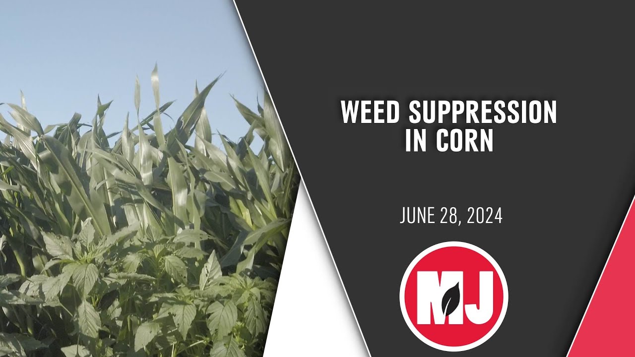 2024 Weed Management Field Day | June 28, 2024 - YouTube
