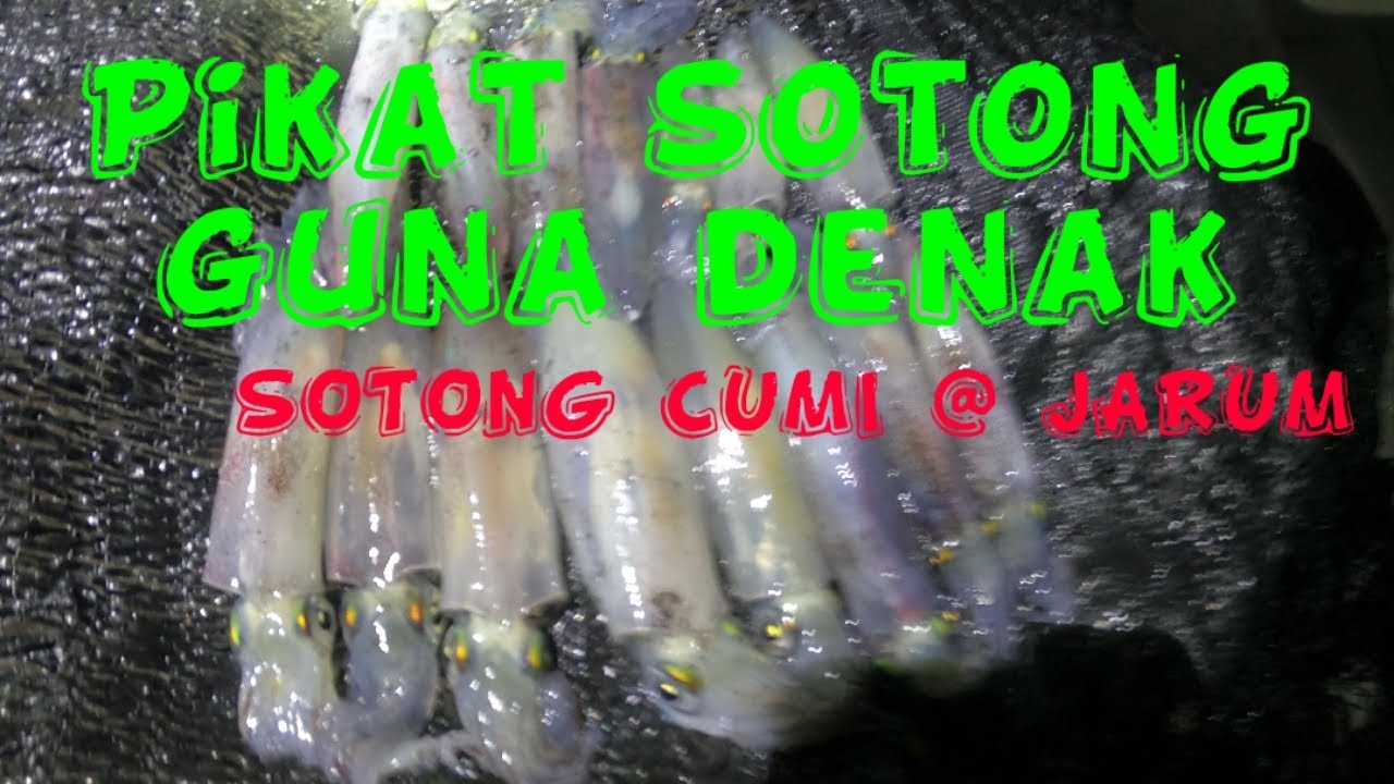 Pikat Sotong | Tanguk Sotong Cumi | Sotong Jarum - YouTube