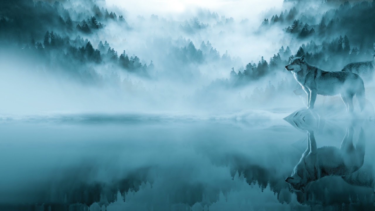 1 Hour Haunting Loon Call & Howling Wolves ~ *No Music* - YouTube