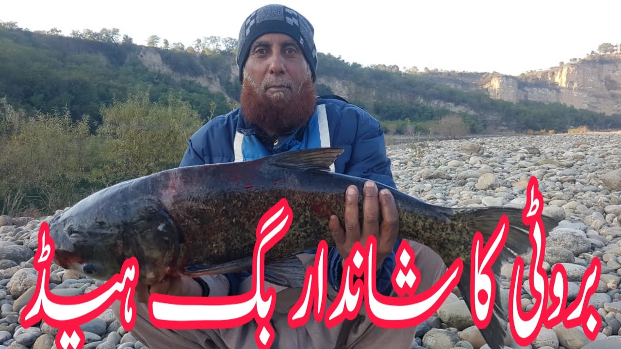 10 Kg Fish Caught By Haji Gul Khan Durrani sb ... - YouTube