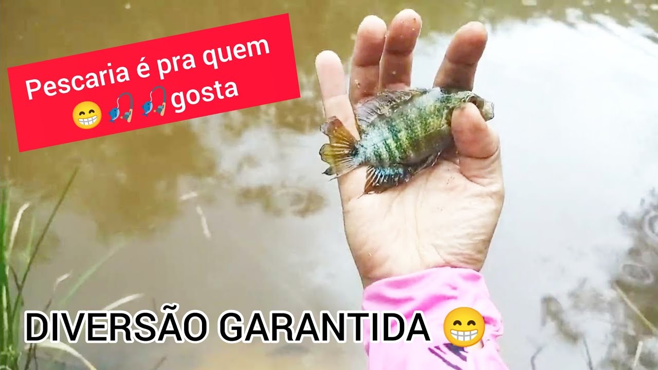 Frito garantido na pescaria, e muita diversão, pescaria em família ...