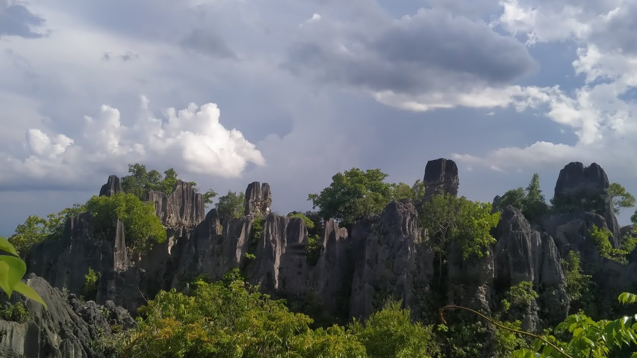 EXPLORE HUTAN KALIMANTAN Puncak Sembinai KALIMANTAN TIMUR - YouTube