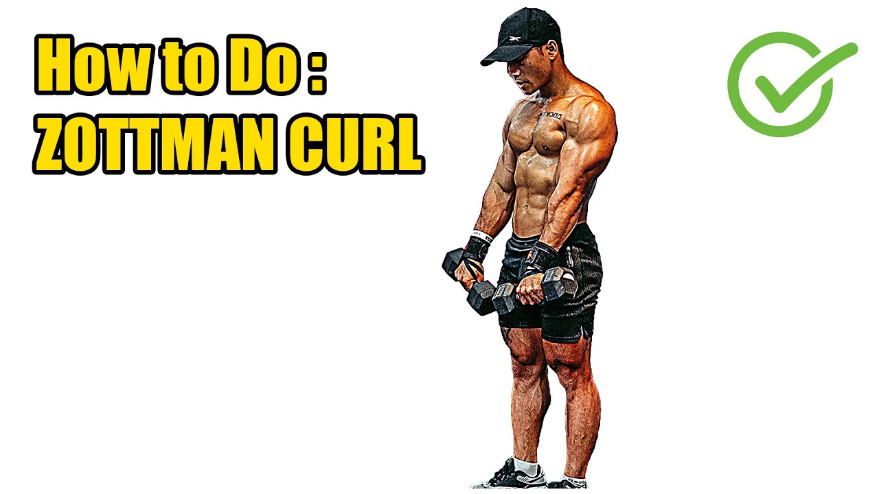 HOW TO DO ZOTTMAN CURL - 323 CALORIES PER HOUR - (Back Workout). - YouTube