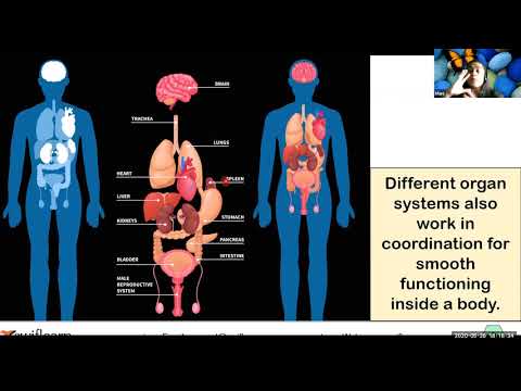 Circulatory System Class 5 | Swiflearn Class 5 Science - ICSE & CBSE ...