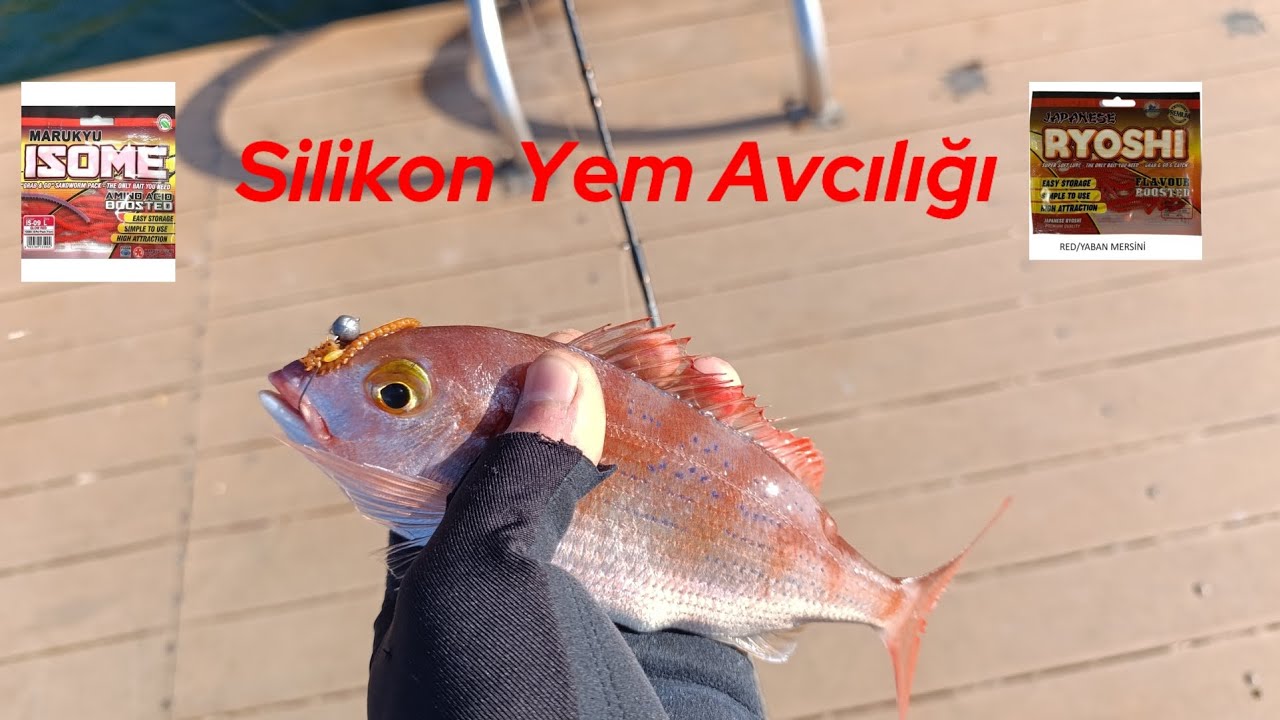 LRF İle KIYIDAN MERCAN AVI ( KOCAELİ ) 🎣🐠🦀 - YouTube