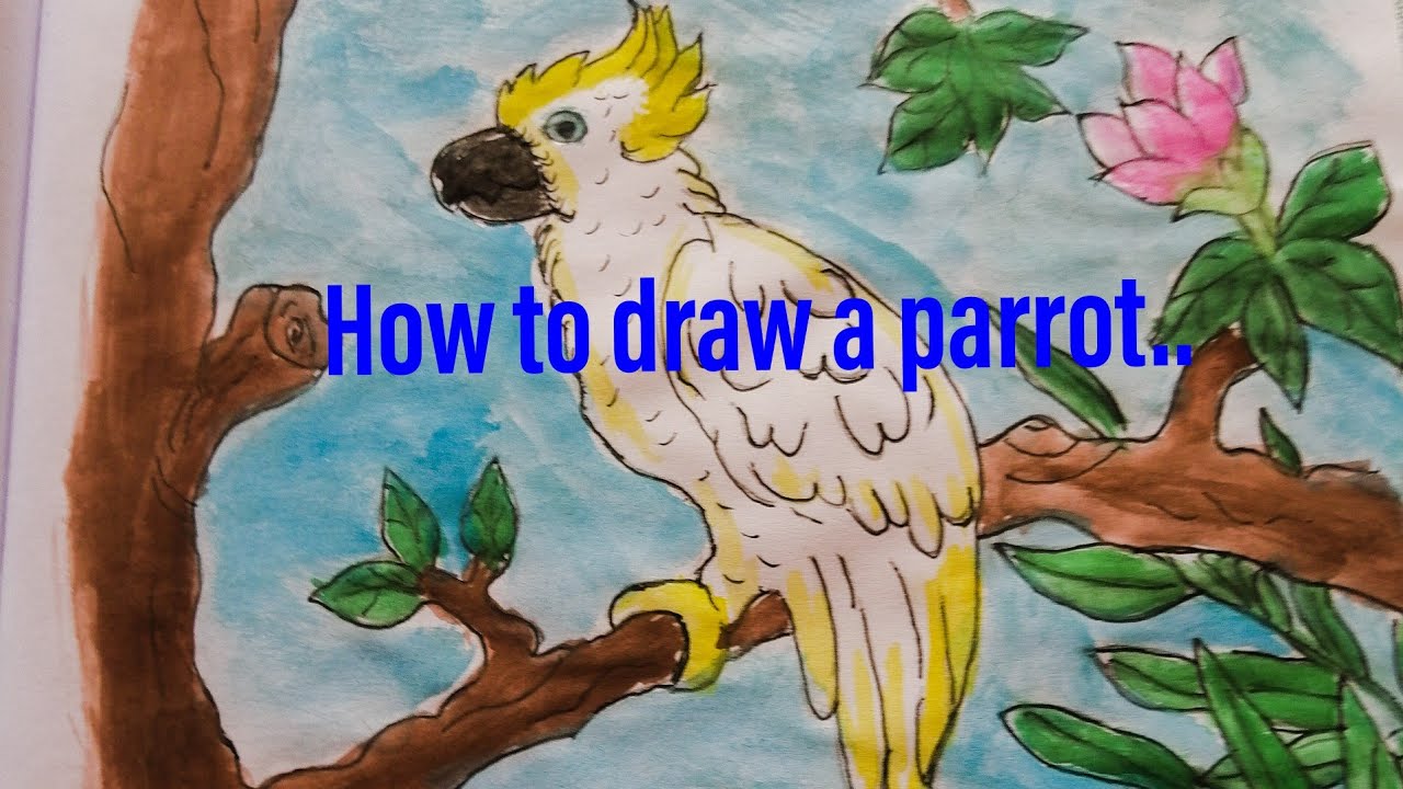 How to draw a parrot.. 🐦🦜🦜 - YouTube