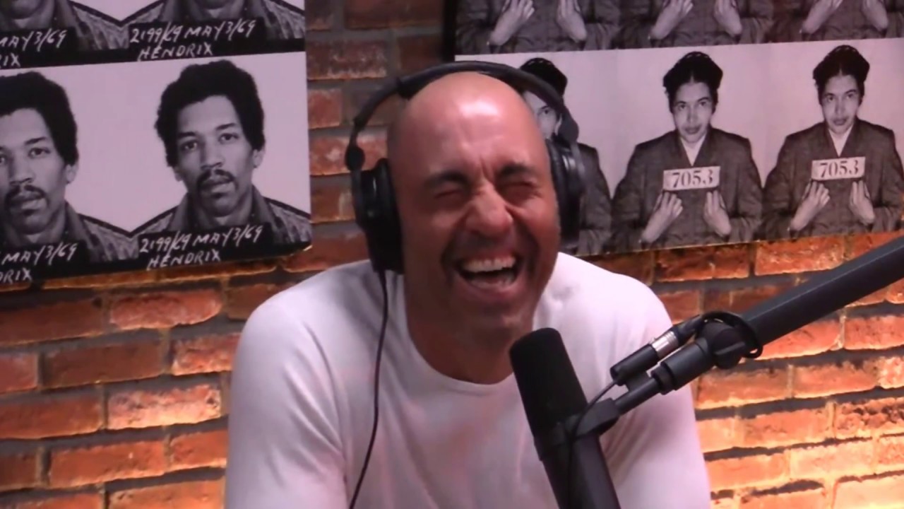 Free Joe Rogan Repulsive Neurotic Laugh Video - YouTube