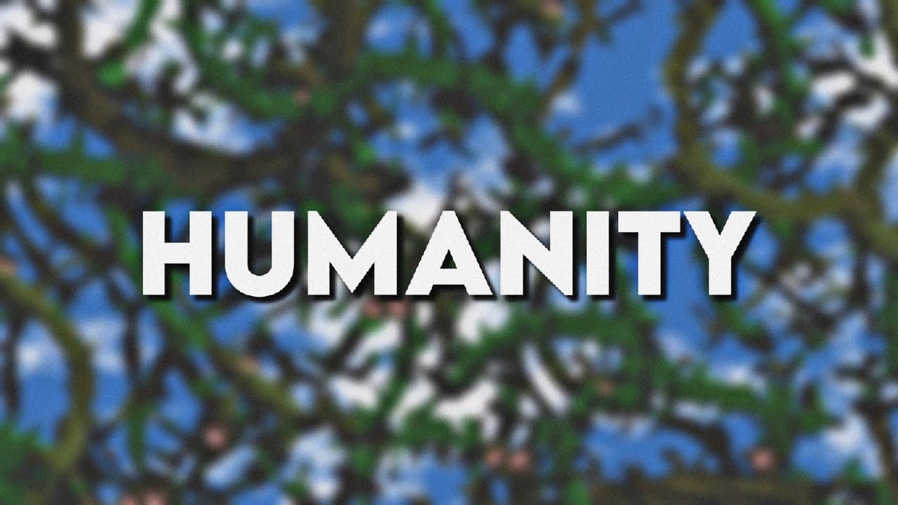 Stickerbush Symphony's Enduring Humanity - YouTube