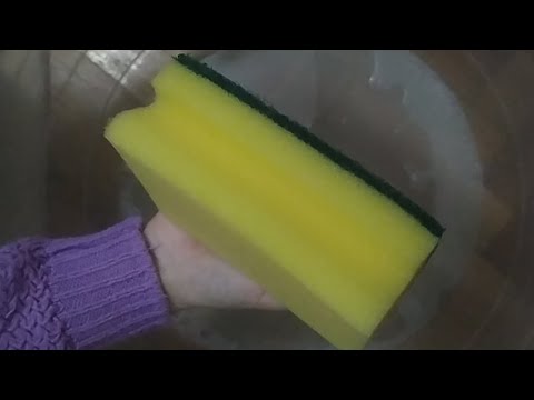 Big Kitchen Sponge Soapy Squeezing & Ripping | Sponge ASMR - YouTube