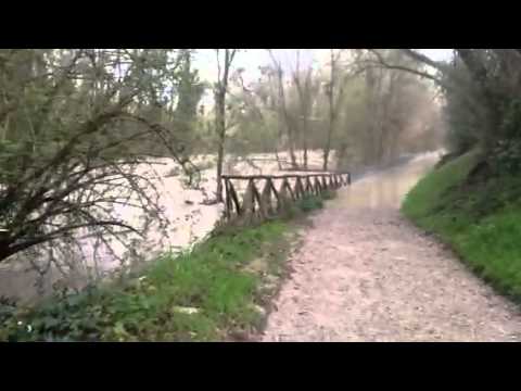Forlì, fiume Montone in piena - YouTube