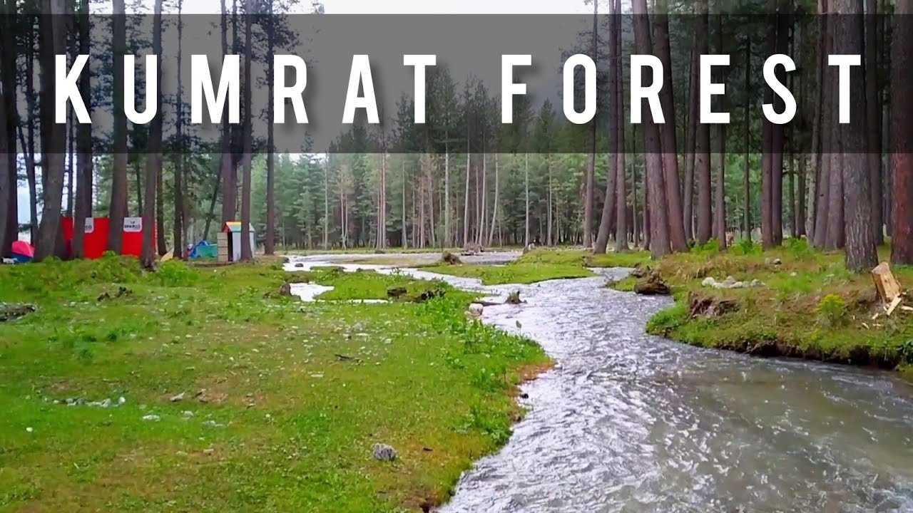 Kumrat Forest | Kumrat Beautiful Valley Of Pakistan 🇵🇰 - YouTube