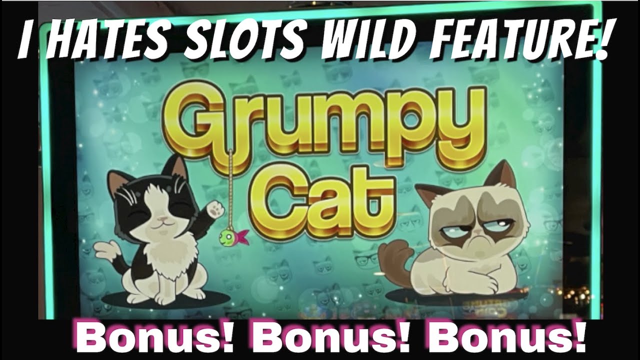 HUGE wins on Grumpy Cat slot machines in Las Vegas 😻Bonus after Bonus ...