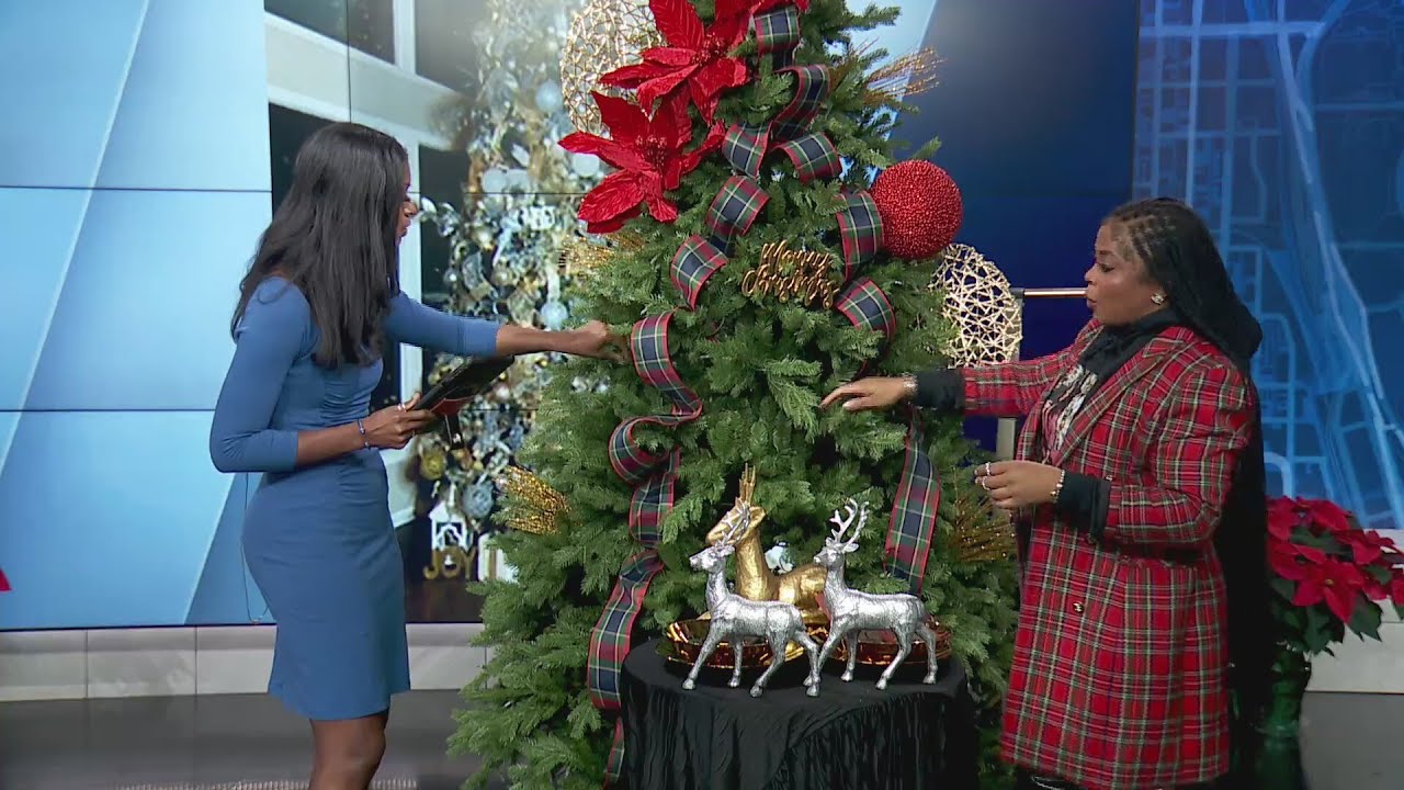 The Tree Sleighers: Elevate Christmas tree decorating - YouTube