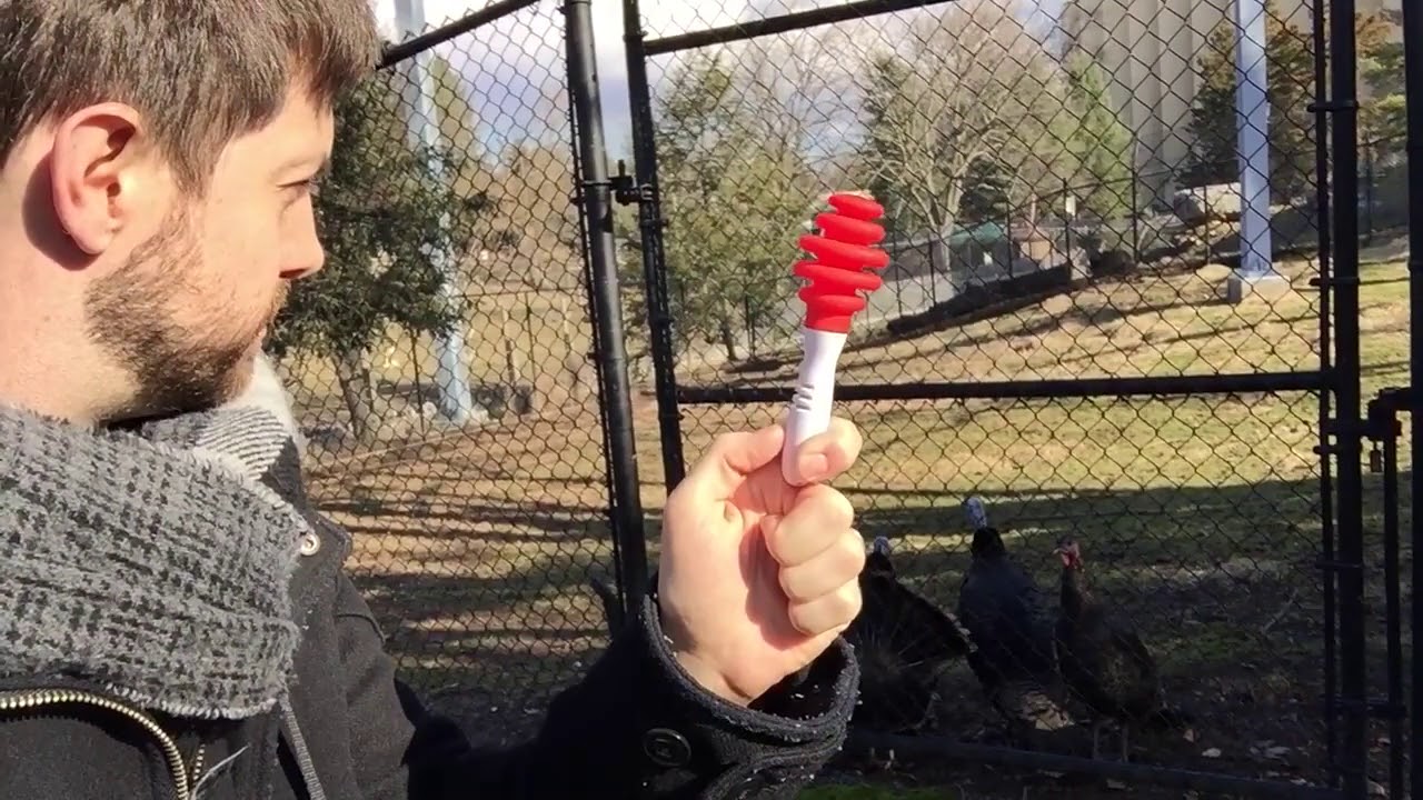 Quack stick at Zoo of America - YouTube