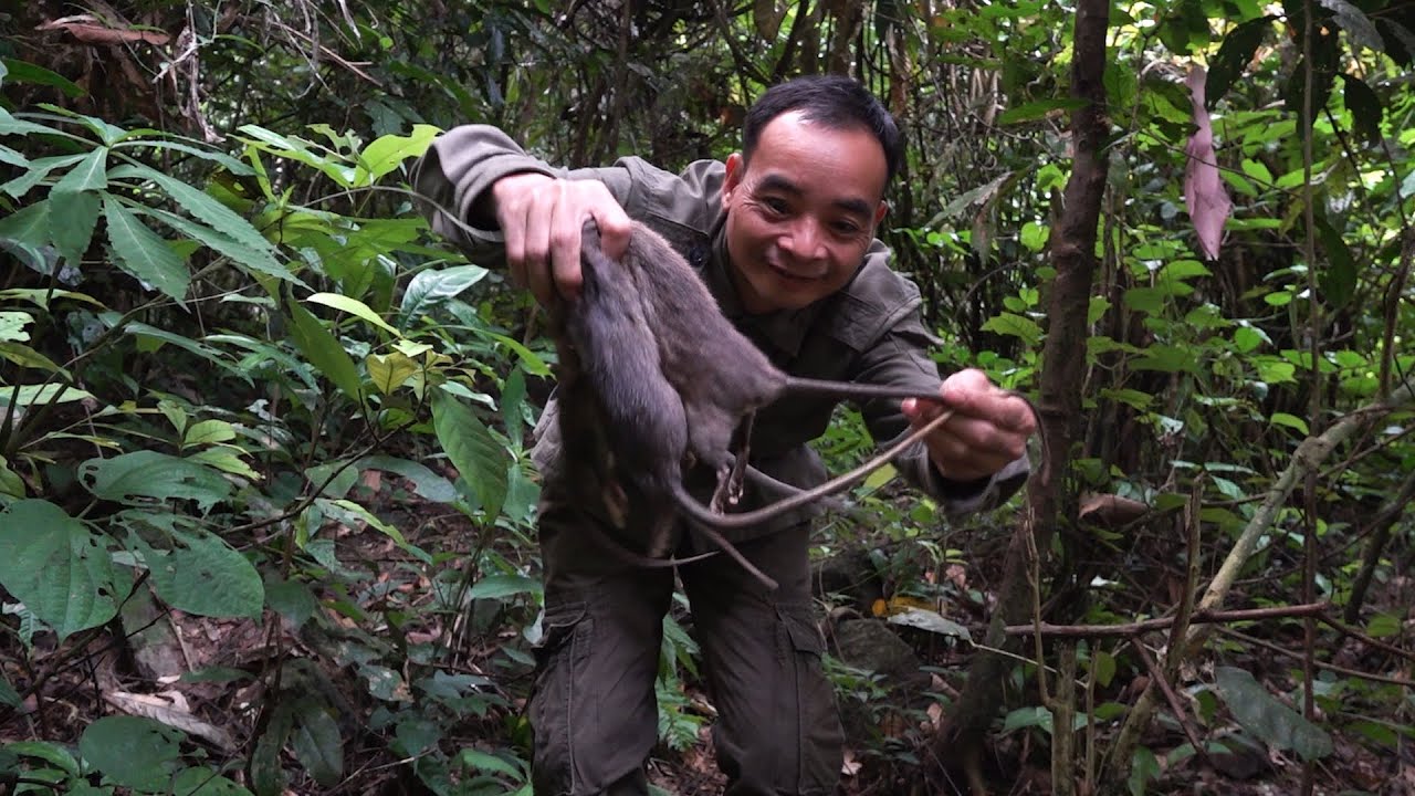 LOTS OF DELICIOUS FOOD IN THE RAINFOREST | LIVING OFF THE GRID ...