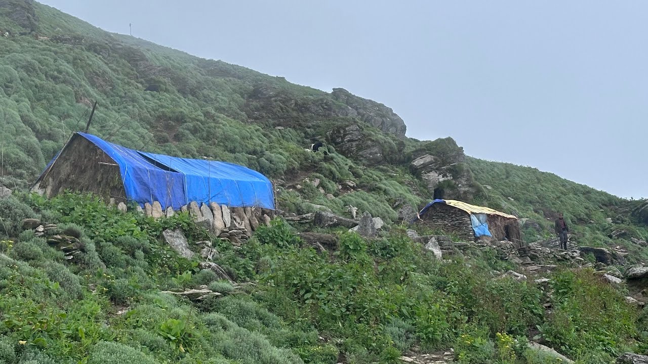 The Pastoral Life | Nepal 🇳🇵| Chapter-77 | Himalayan Shepherd Life Nepal | Nomadic Life Nepal ...