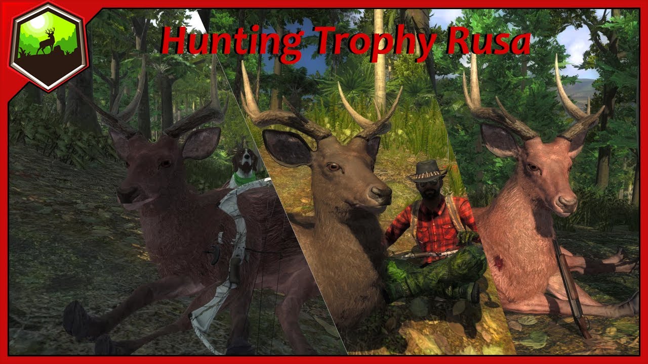 Hunting Trophy Rusa Deer | theHunter Classic - YouTube