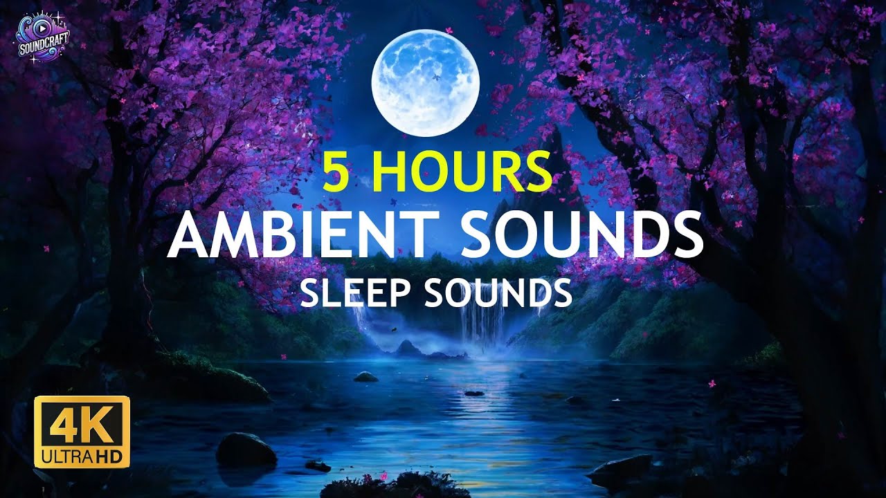 Nighttime Ambience | 5 Hours | Sleep Sounds | Night Ambient Sounds ...