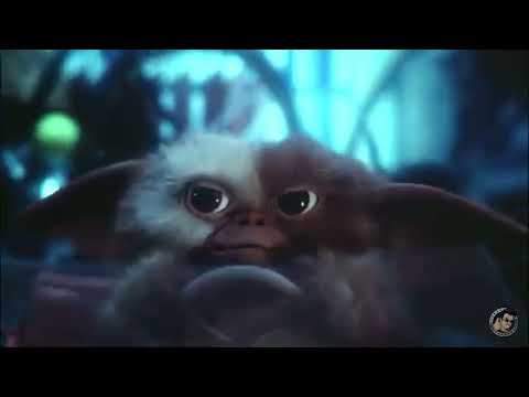 Gremlins but it’s only Gizmo driving a toy car😆🤣😂 #gremlins