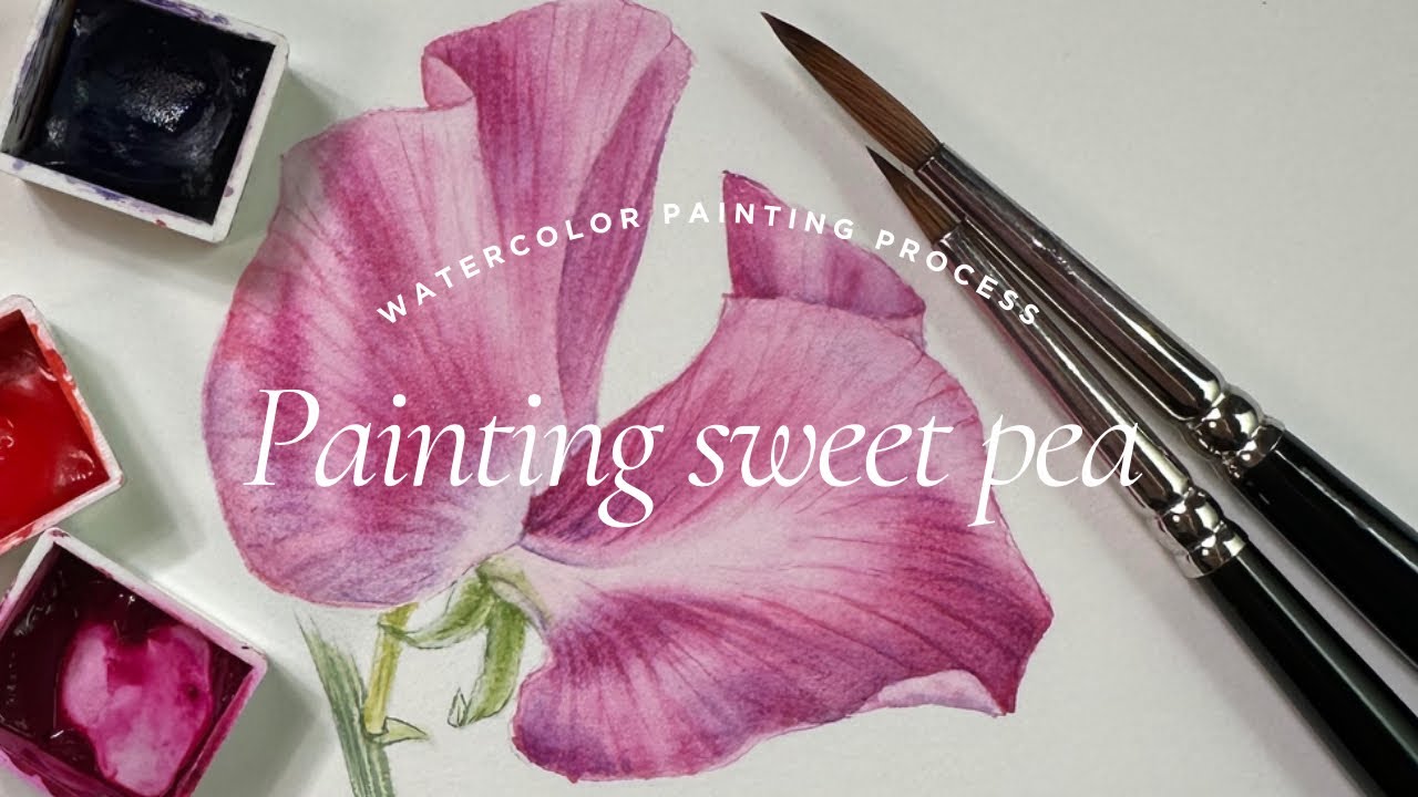 Part 2 /sweet pea painting process/ 스위트피 그리기 작업과정/free outline - YouTube