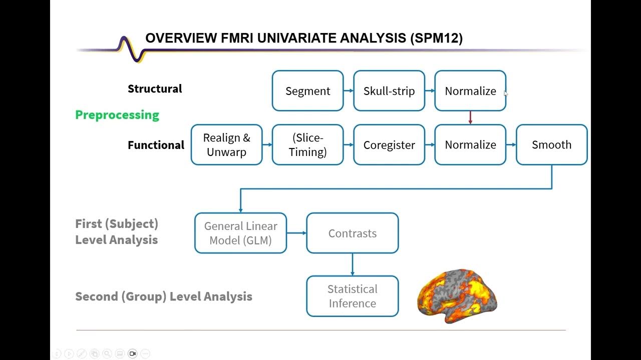 Fmri Analysis With Spm12 Structural Preprocessing With Gui Youtube