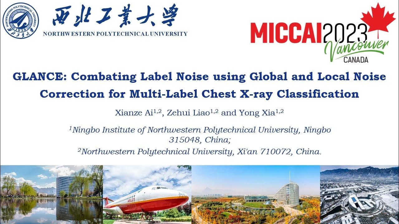 GLANCE: Combating Label Noise using Global and Local Noise Correction for Chest X-ray ...