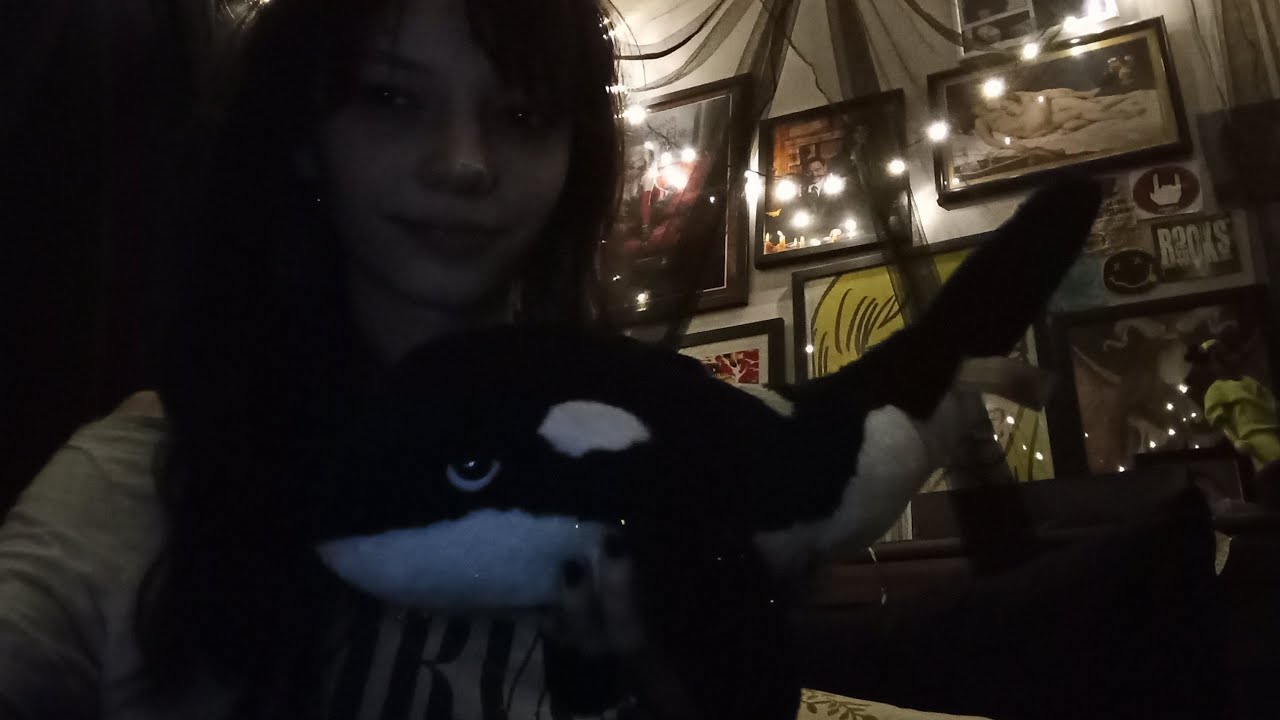 reading u bedtime orca facts - YouTube
