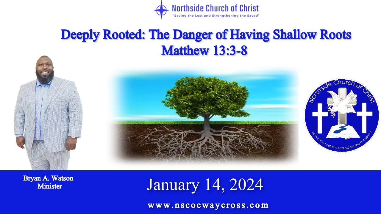 Deeply Rooted: The Danger of Having Shallow Roots 1-14-24 - YouTube