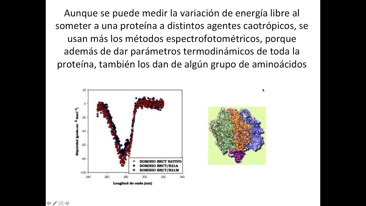 Sustancias Caotrópicas y osmolitos. Efectos en la absorbacia y el ...