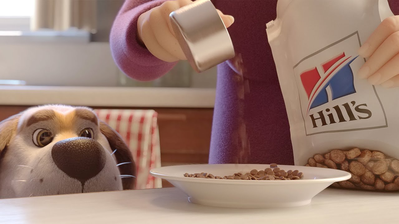 Poochini: A Love Story - YouTube